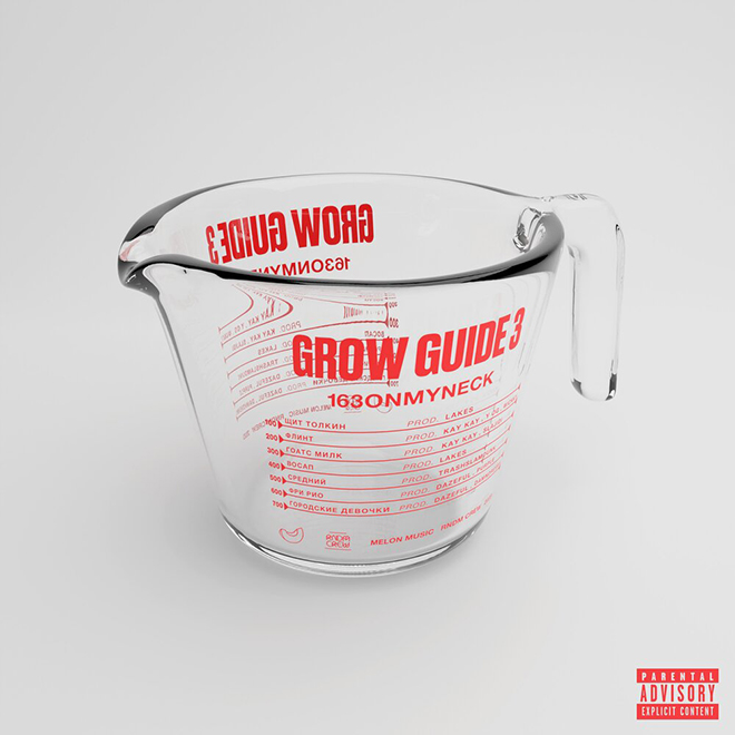 163onmyneck "Grow Guide 3"